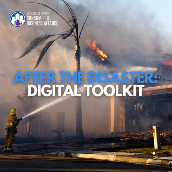 After the Disaster: Digital Toolkit – Consumer & Business